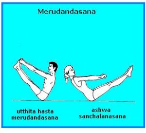 Healthier You | Merudandasana Variations - Healthier You