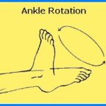 Ankle Rotation - Healthier You