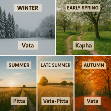 Healthier You | The Ultimate Guide to Dosha Typing | Vata, Pitta ...